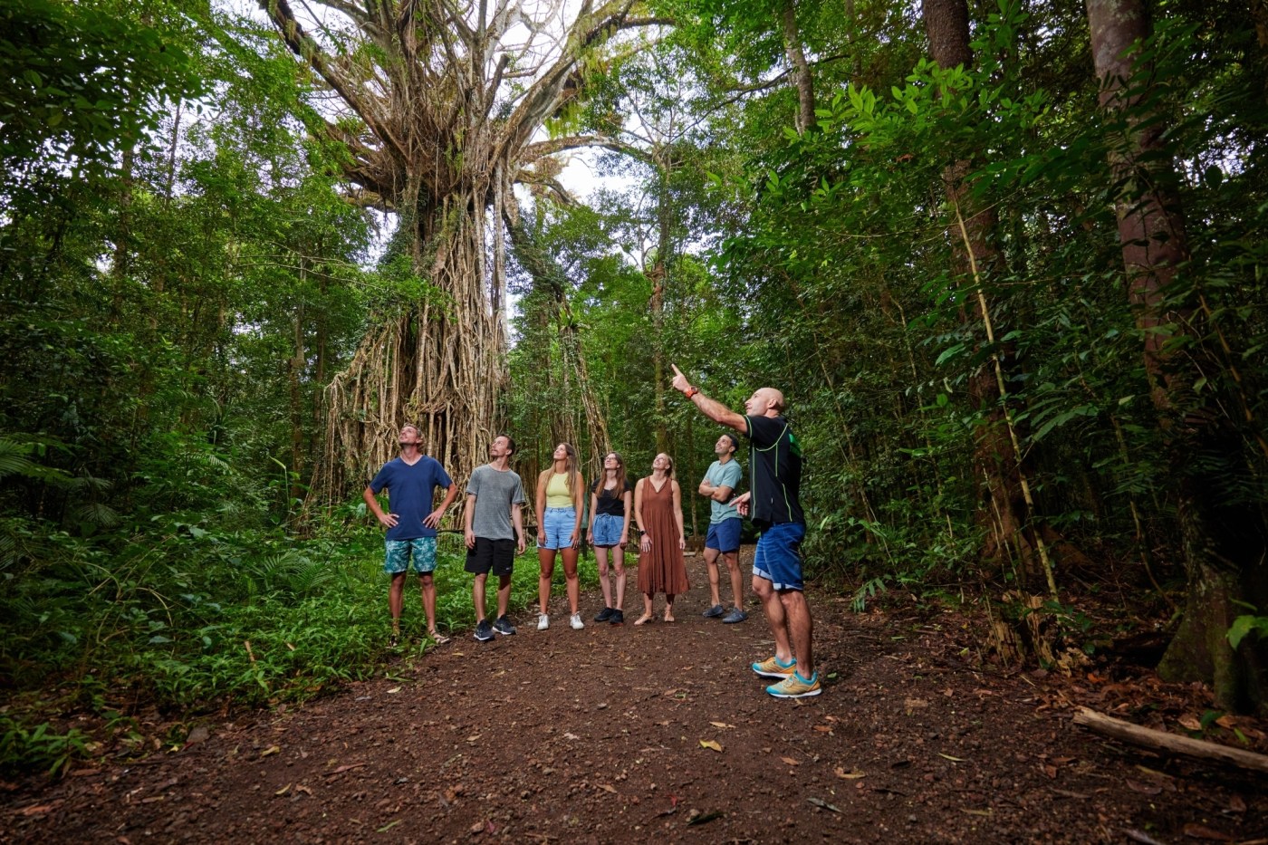 Ultimate Atherton Tablelands Showdown: Comparing Tour Experiences